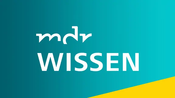 Stürme, Flecken, Polarlichter: Was ist gerade mit der Sonne los? | mdr.de