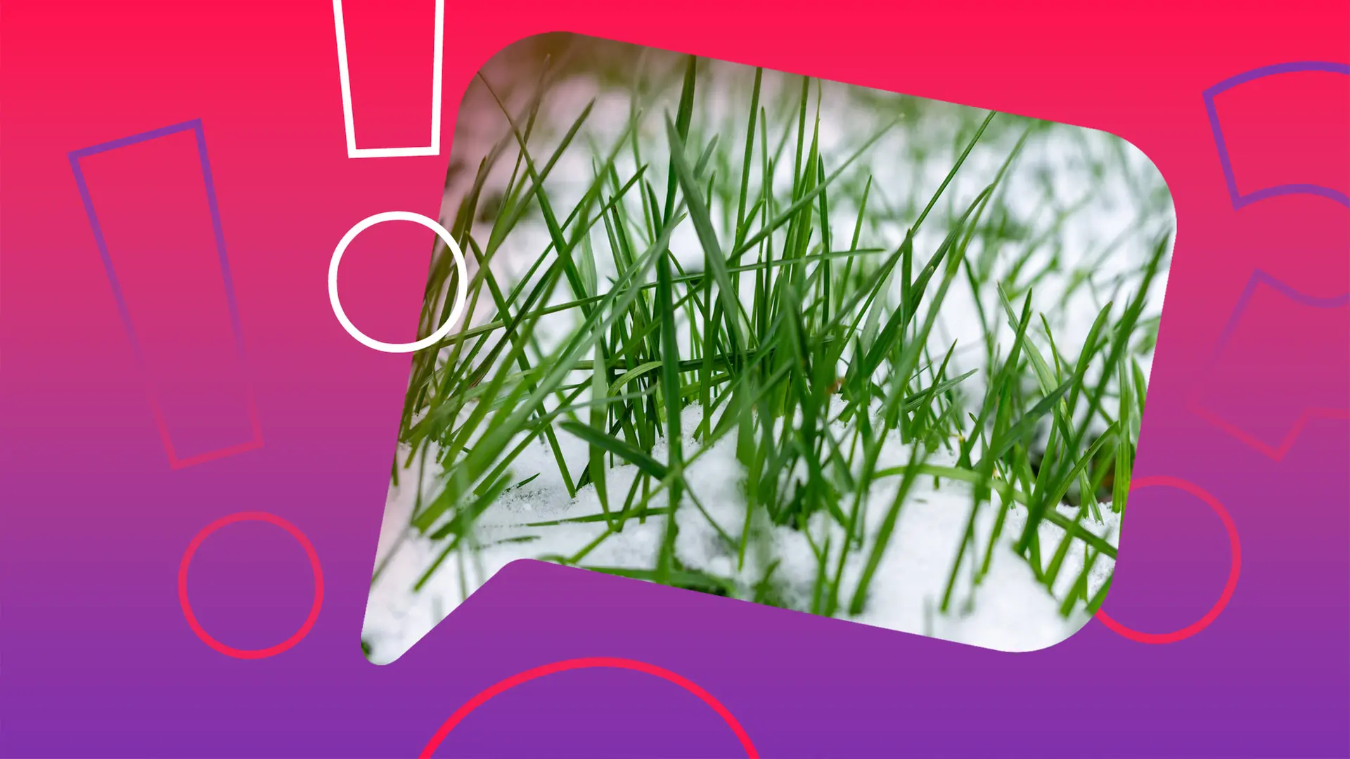 Kann Schnee im Garten zu Schimmel führen? | mdr.de