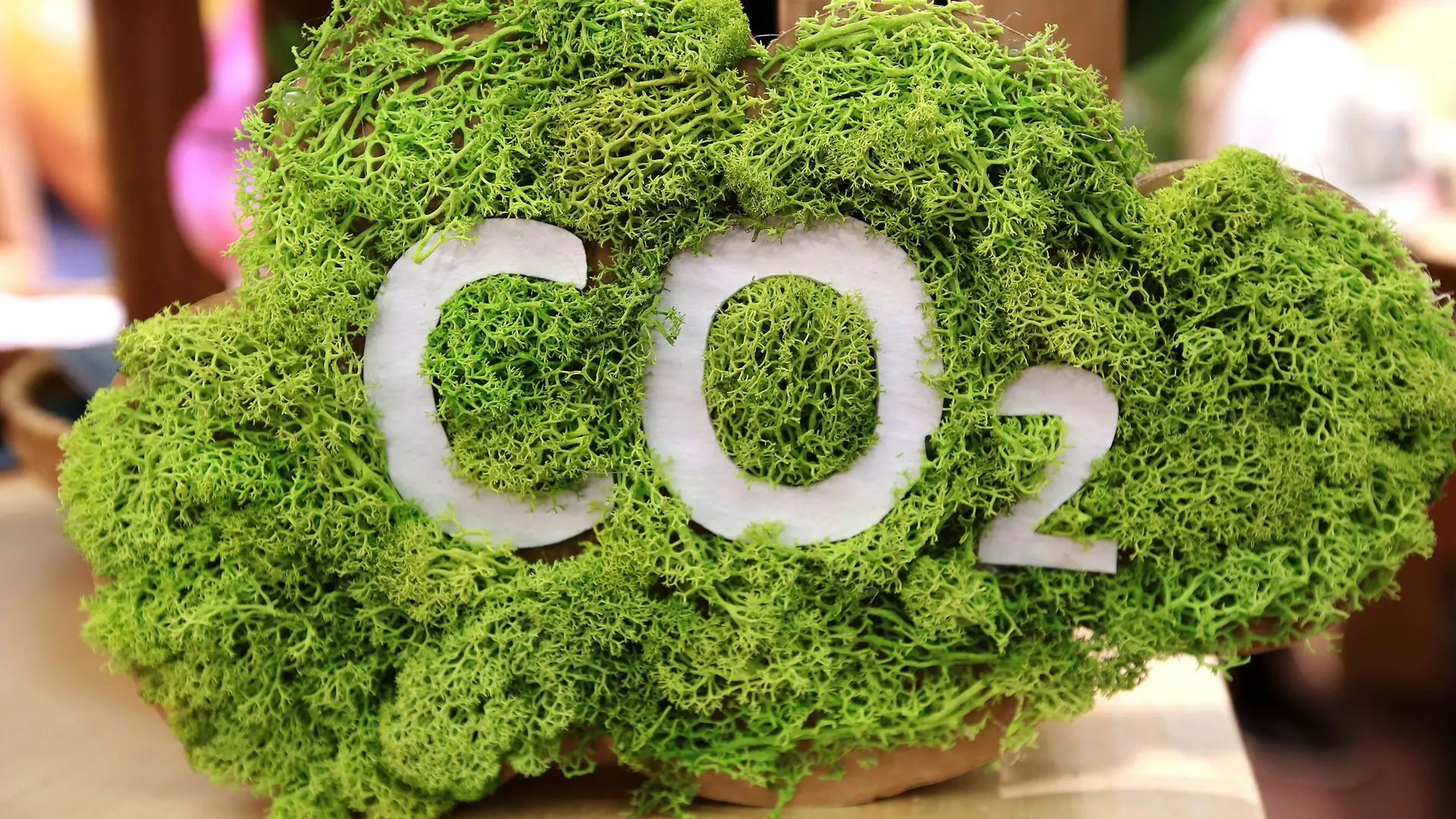 Forschung am KIT: CO2 aus der Atmosphäre binden | mdr.de