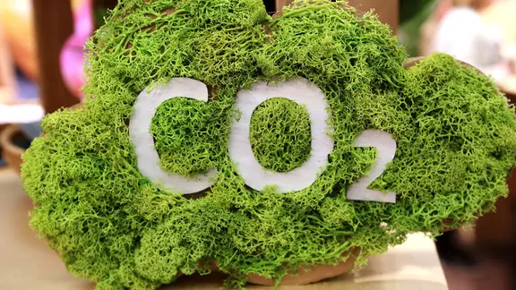 Forschung am KIT: CO2 aus der Atmosphäre binden | mdr.de
