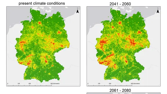 Invasive Arten richten mehr Schäden an als die meisten ...