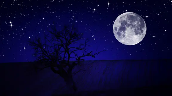Was wissen wir alles über den Mond? | mdr.de