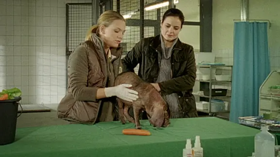 Folge 16: Der Kuss des Krokodils (S02/E03) | mdr.de