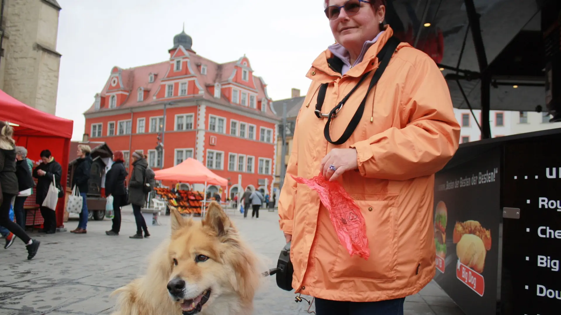 Hundekotverschmutzung in Halle: Im Schnitt ein Haufen alle acht Meter ...
