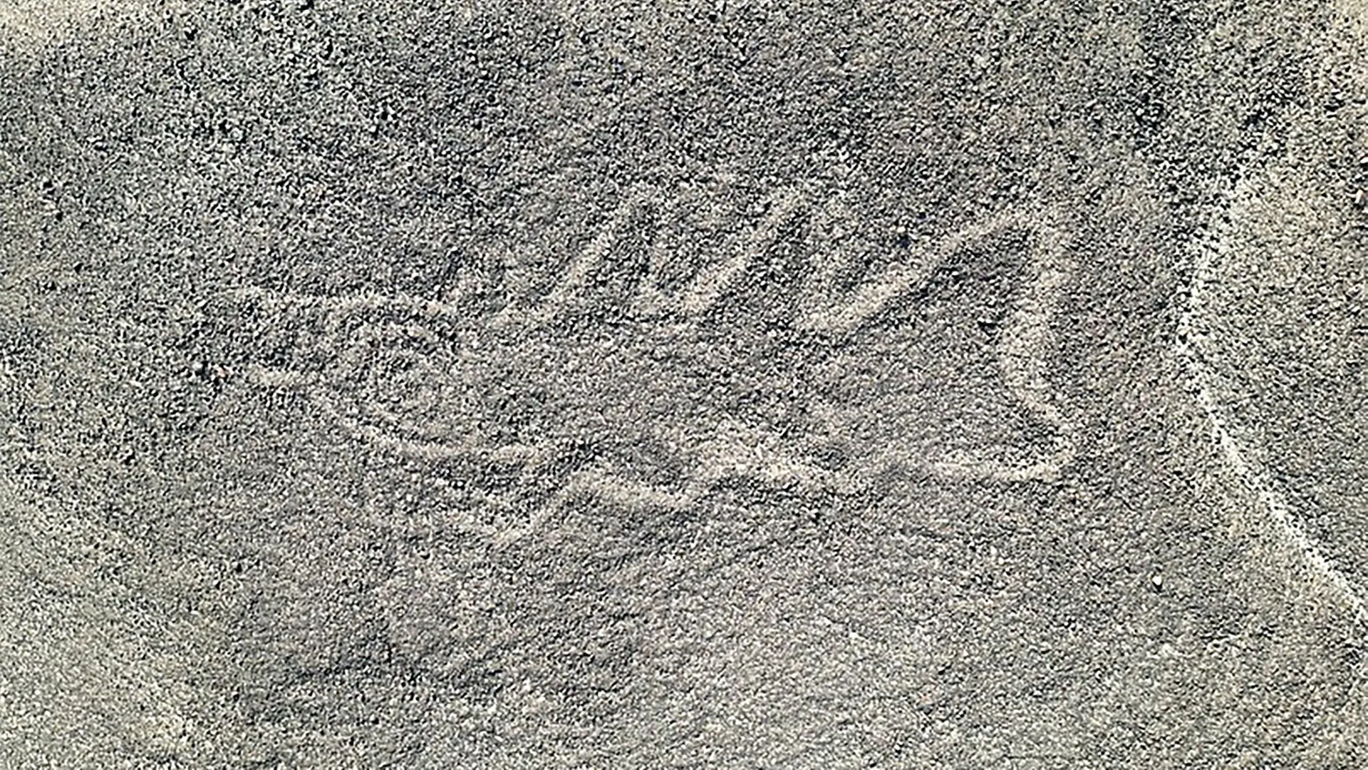 Dresdner Forscherteam untersucht Nazca-Wassersysteme in Peru | mdr.de