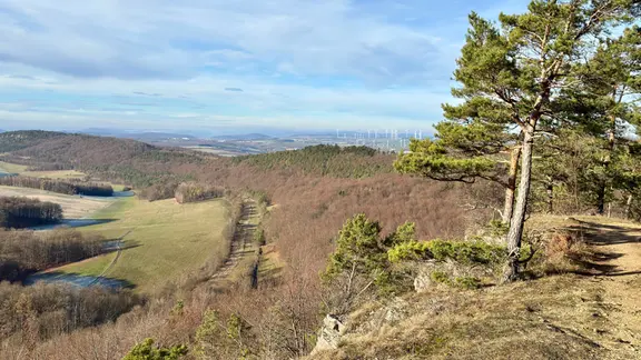 Wandern am Rennsteig: Parken in Hörschel jetzt einfacher | mdr.de