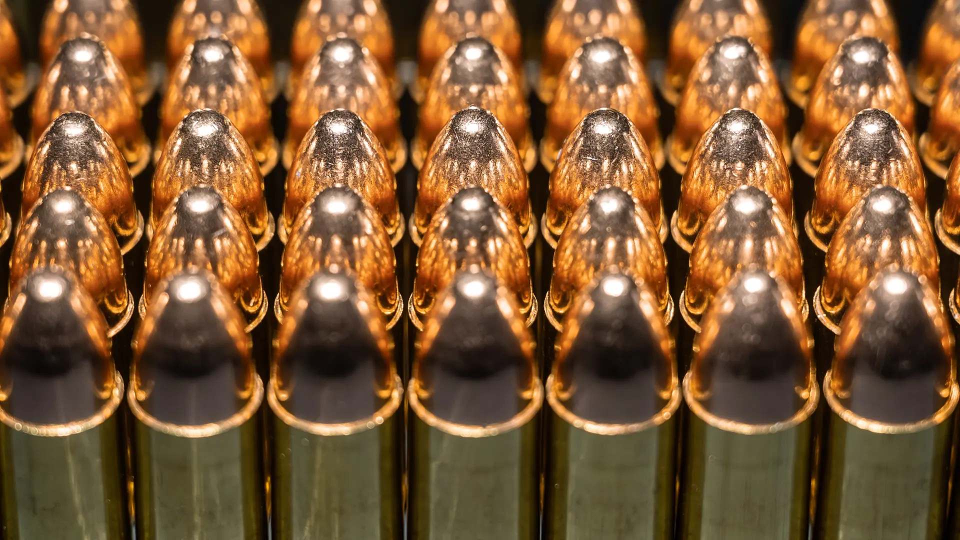 Munition an der Weißen Elster bei Zeitz gefunden – Polizei nennt neue ...
