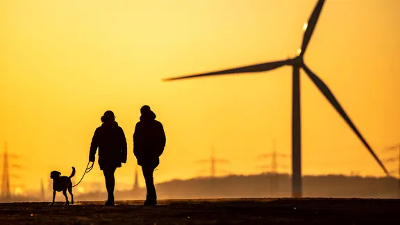 Nordsee: Windräder stehen erstmals wegen Vogelschwärmen still | mdr.de