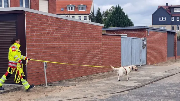 Landkreise Stendal und Börde: DRK trainiert Hunde für die Suche nach ...