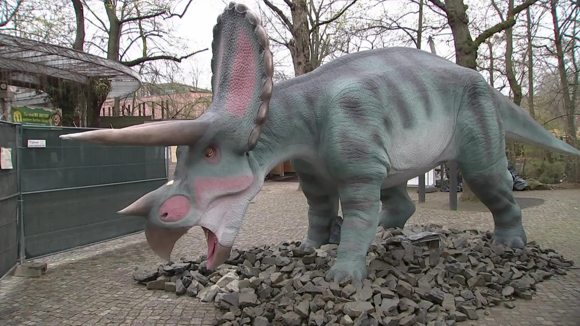 Zoorassic Park (924) | mdr.de