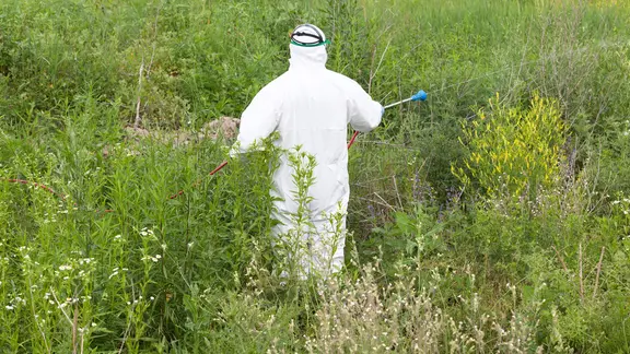 Invasive Arten richten mehr Schäden an als die meisten ...