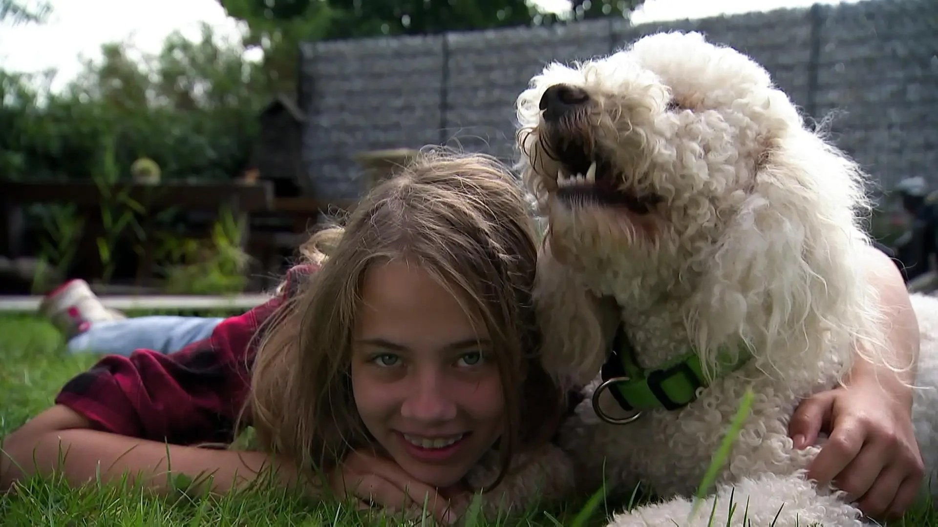 Lilli: Mein Leben mit Shira | mdr.de
