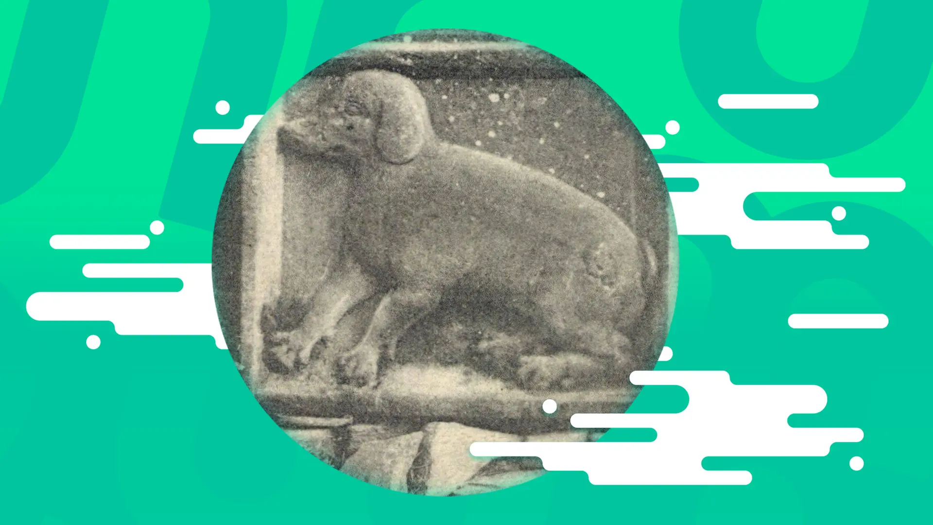 Winterstein - Wo der Hund begraben liegt | mdr.de