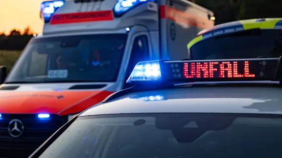 Hundekotverschmutzung in Halle: Im Schnitt ein Haufen alle acht Meter ...