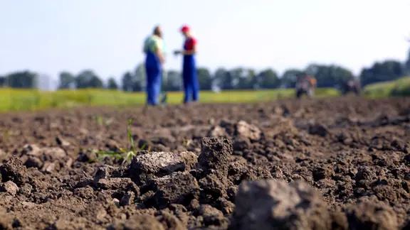 TU Freiberg: Wie in Bergbauregionen Schadstoffe aus Wasser entfernt ...