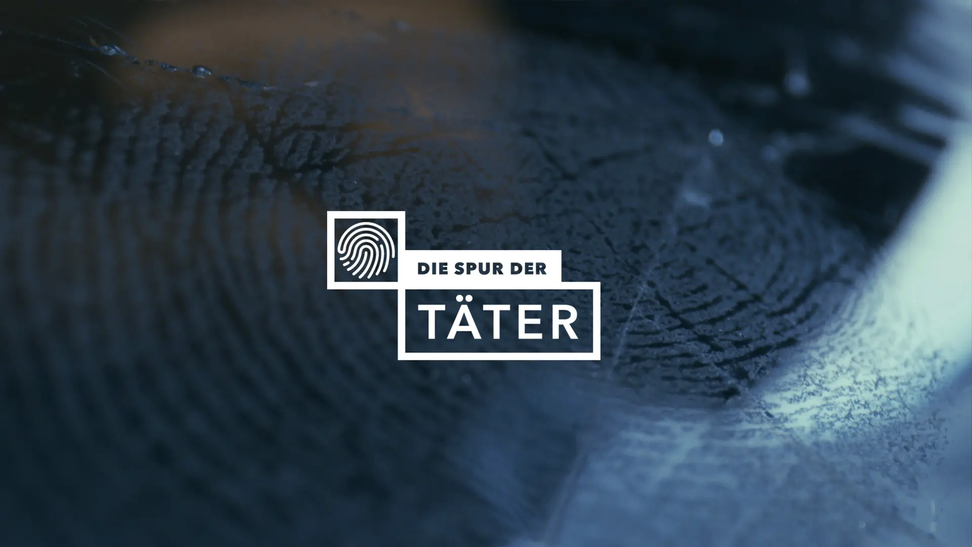 Die Spur der Täter | Entführt und lebendig begraben: Der Fall Ursula ...