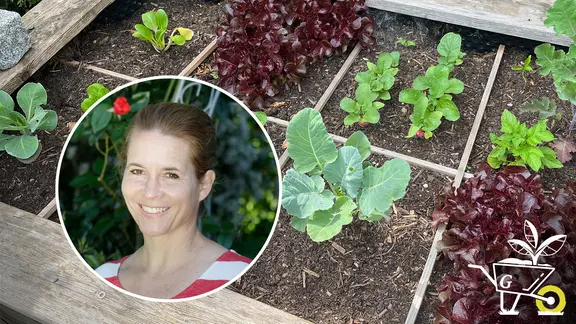 Square Foot Gardening - So funktioniert platzsparendes Gärtnern | mdr.de