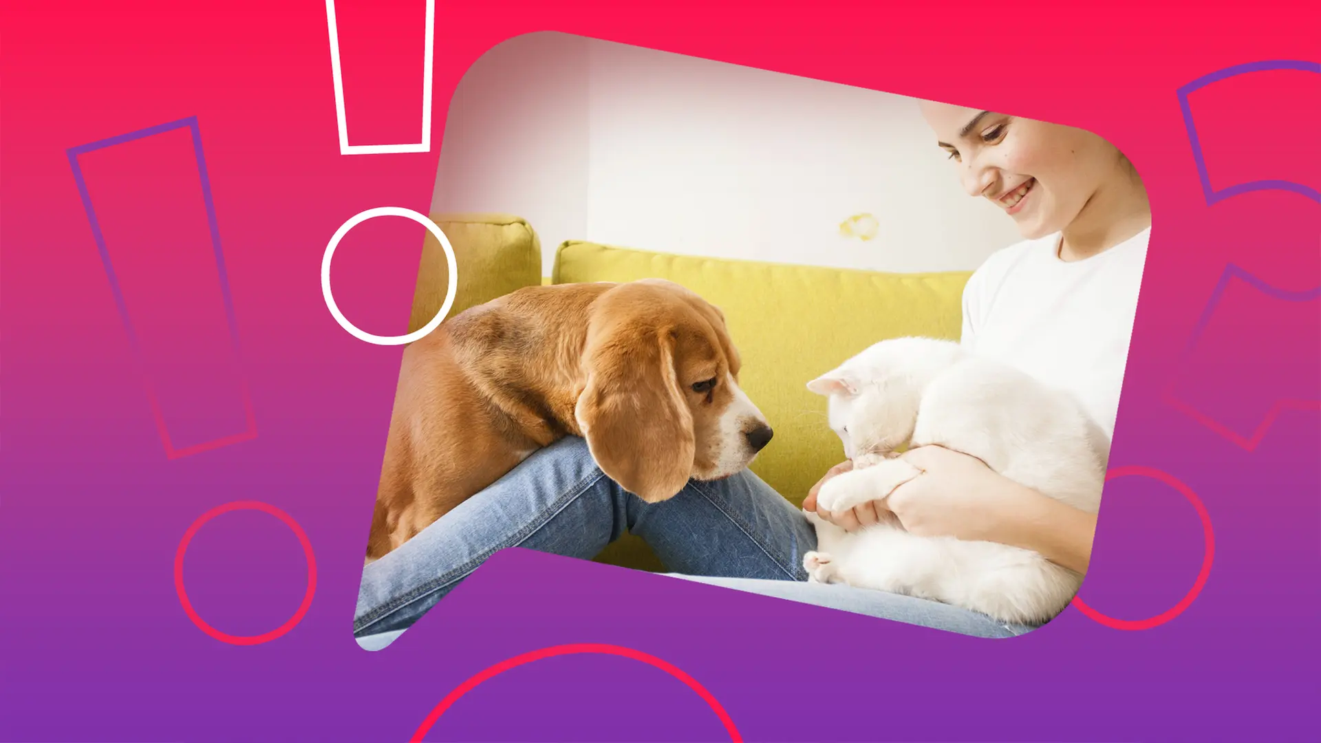Lieben uns Hunde mehr als Katzen? | mdr.de