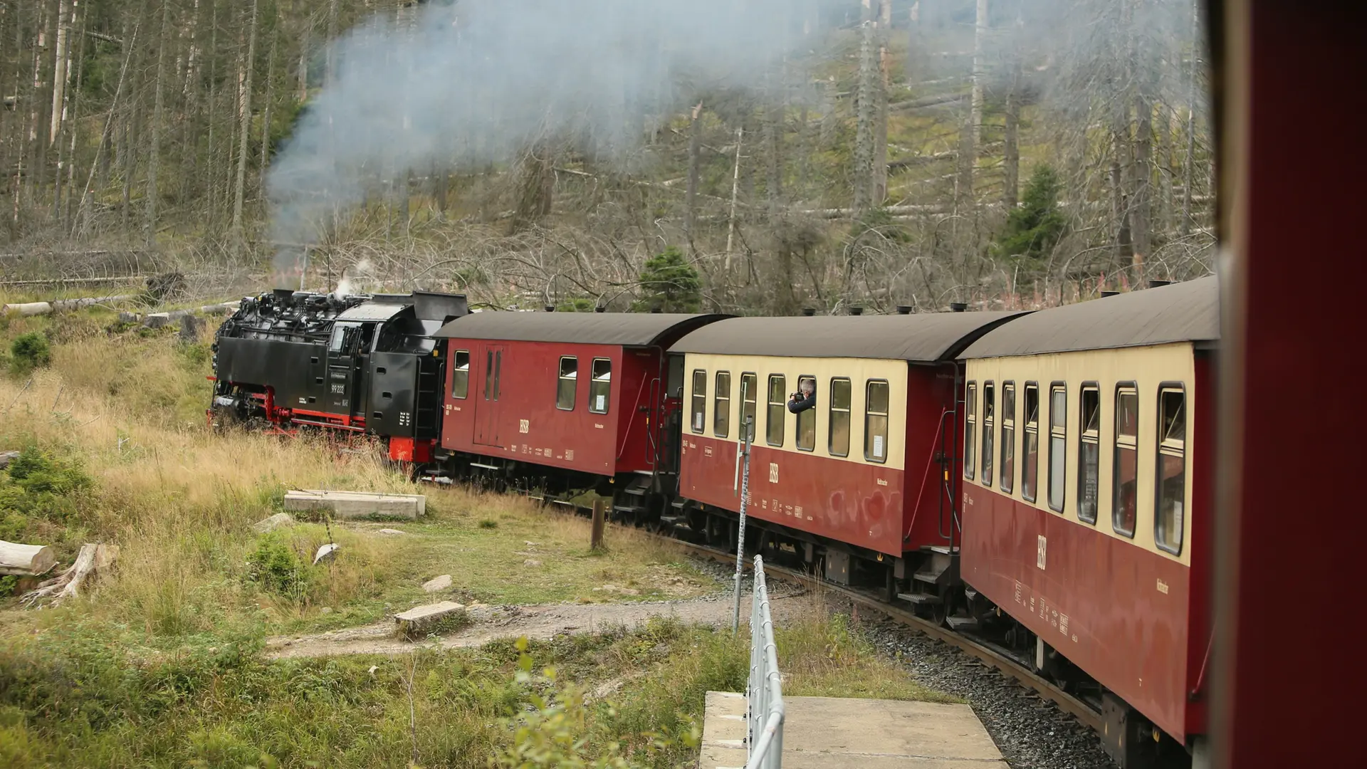 Bus statt Harzer Schmalspurbahnen: SEV auf Teilstrecke der Brockenbahn ...