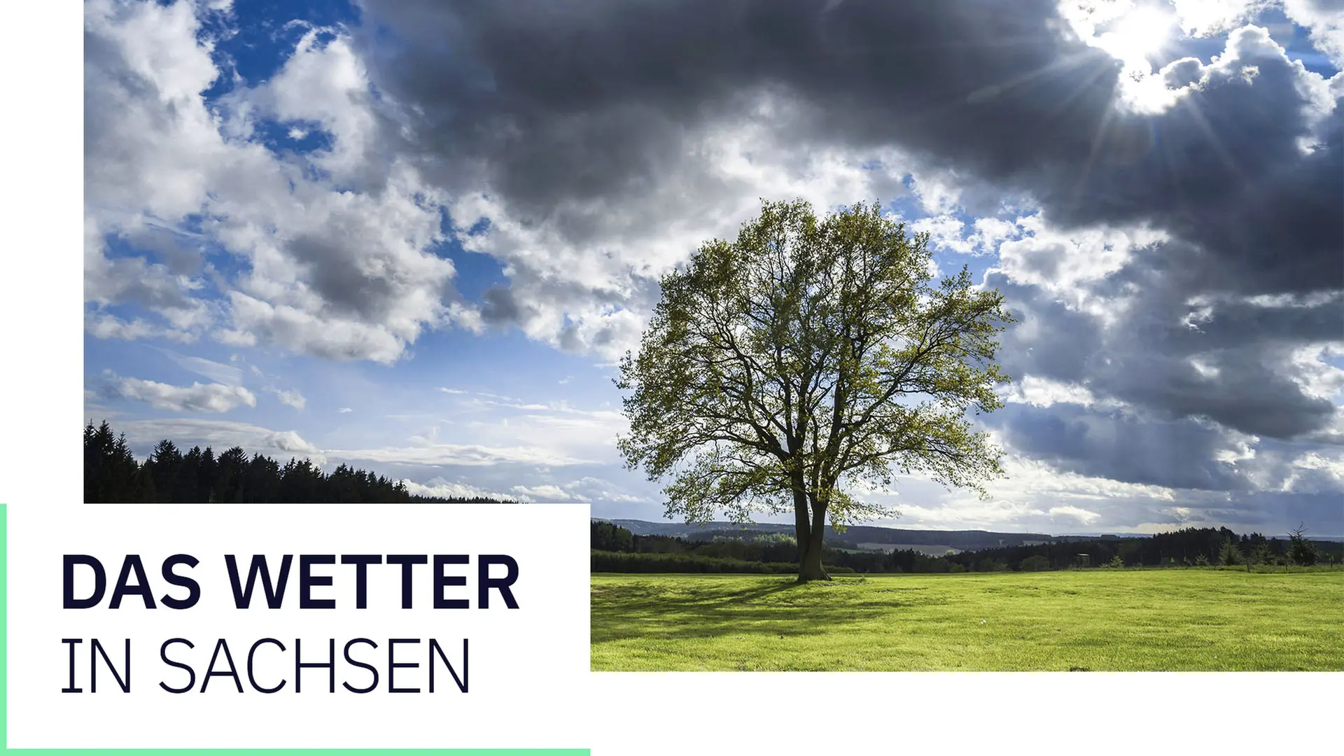 Das Wetter in Sachsen | mdr.de