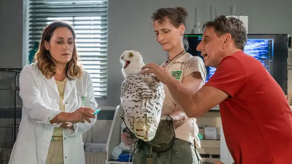 Folge 92: Bittere Konsequenzen (S08/E08) | mdr.de