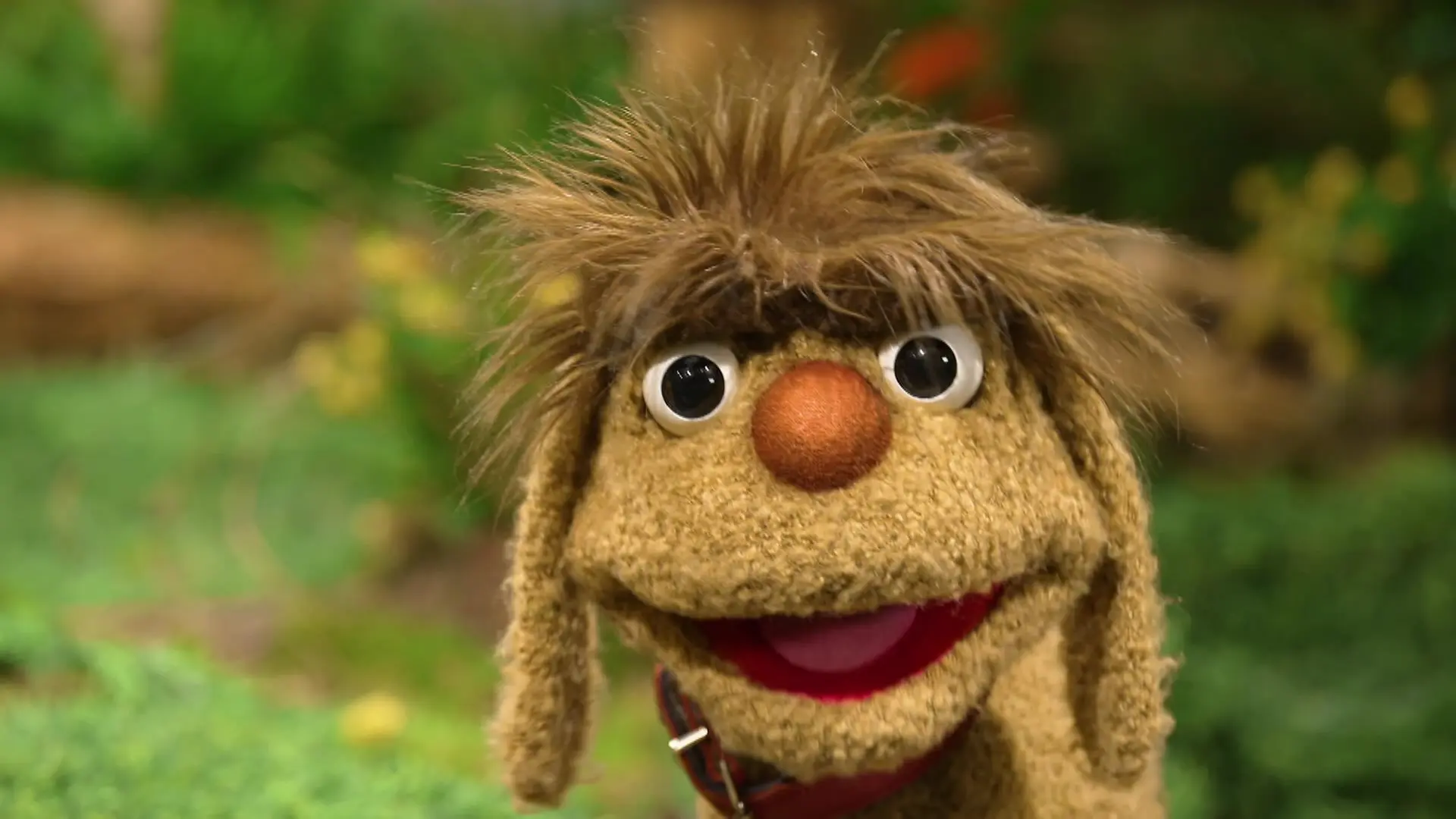 Unser Sandmännchen | mdr.de