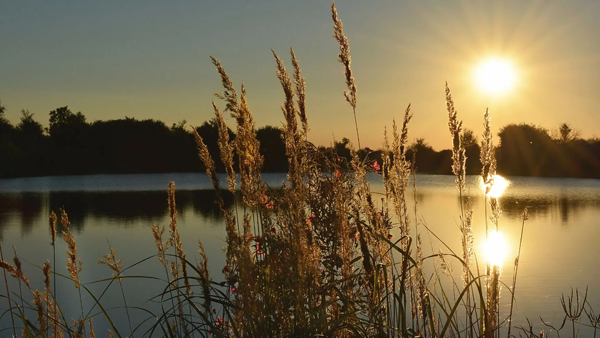 Das Wetter in Sachsen-Anhalt | mdr.de